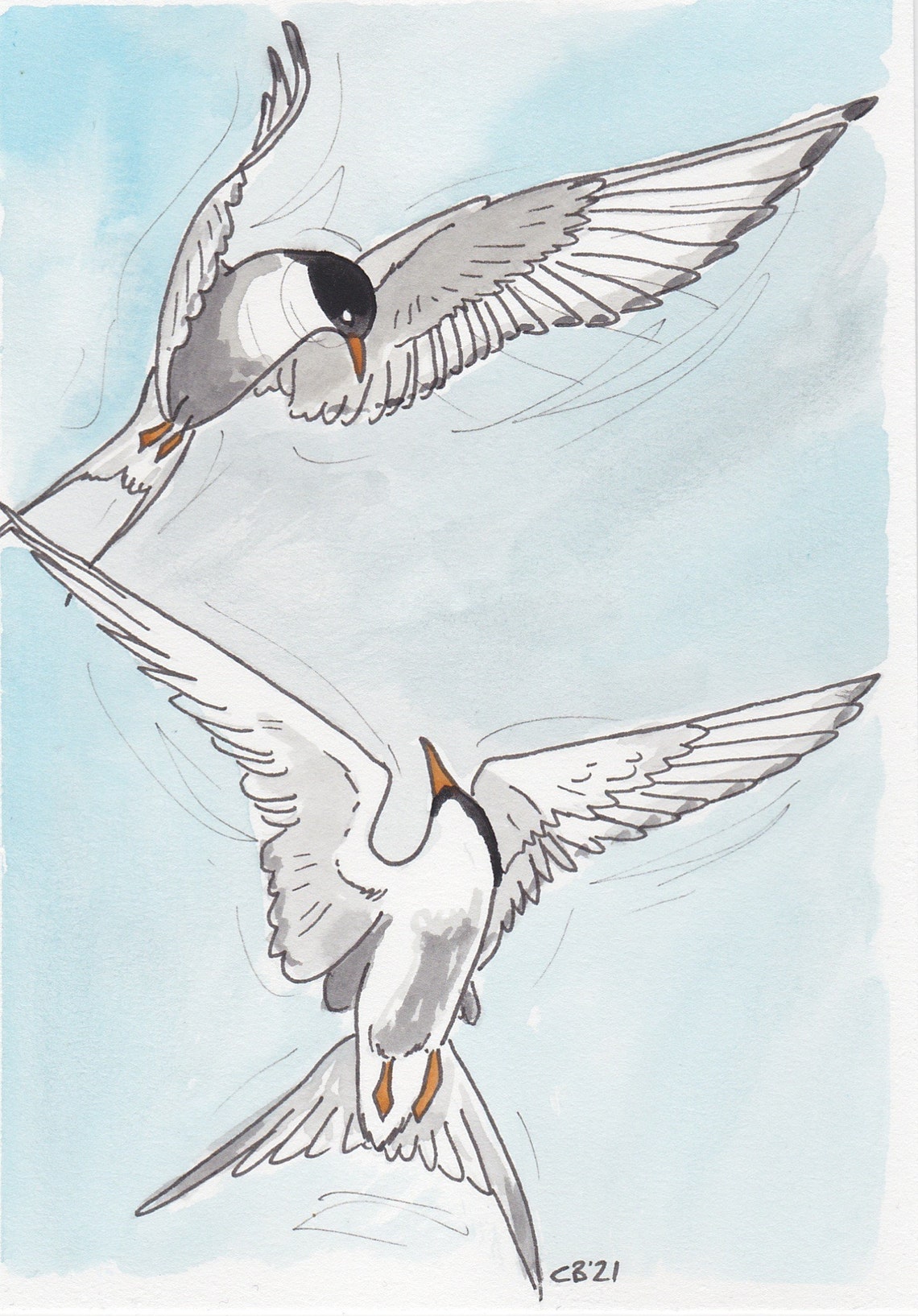 Original Painting Arctic Terns bird flying watercolor - Etsy.de