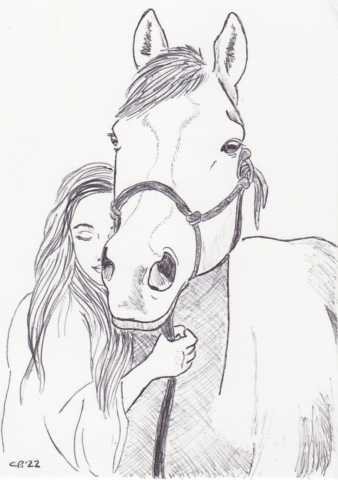 Original Art Bliss, Drawing, Ink, Horse, Equine - Etsy