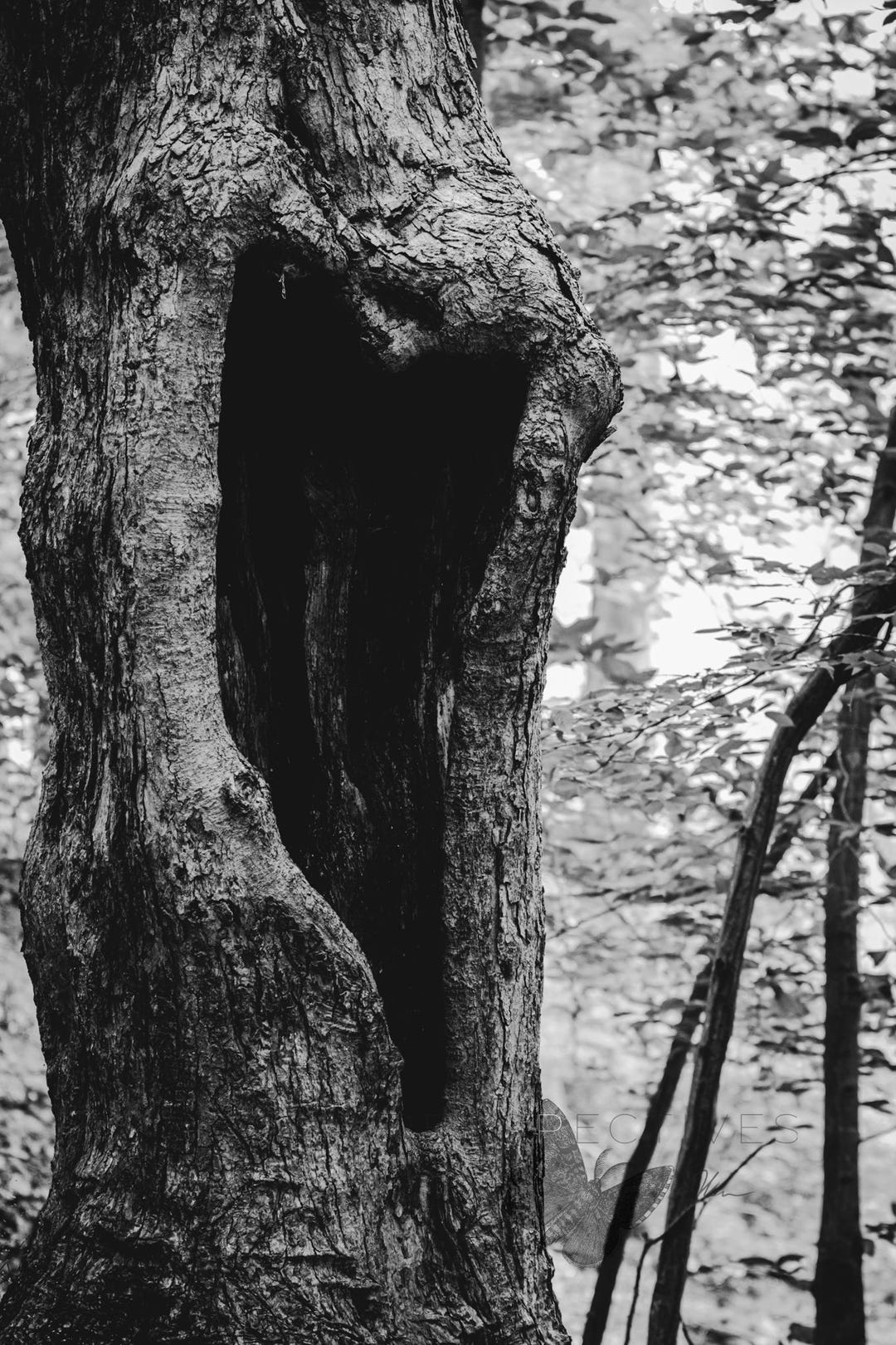 Heart of a Tree - Etsy