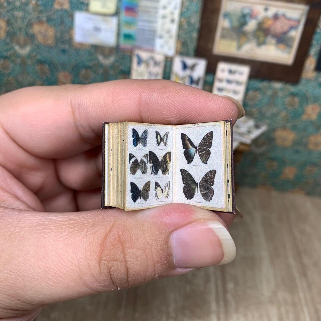 Miniature Book of Exotic Butterflies by Dr. O. Staudinger & Dr. E ...