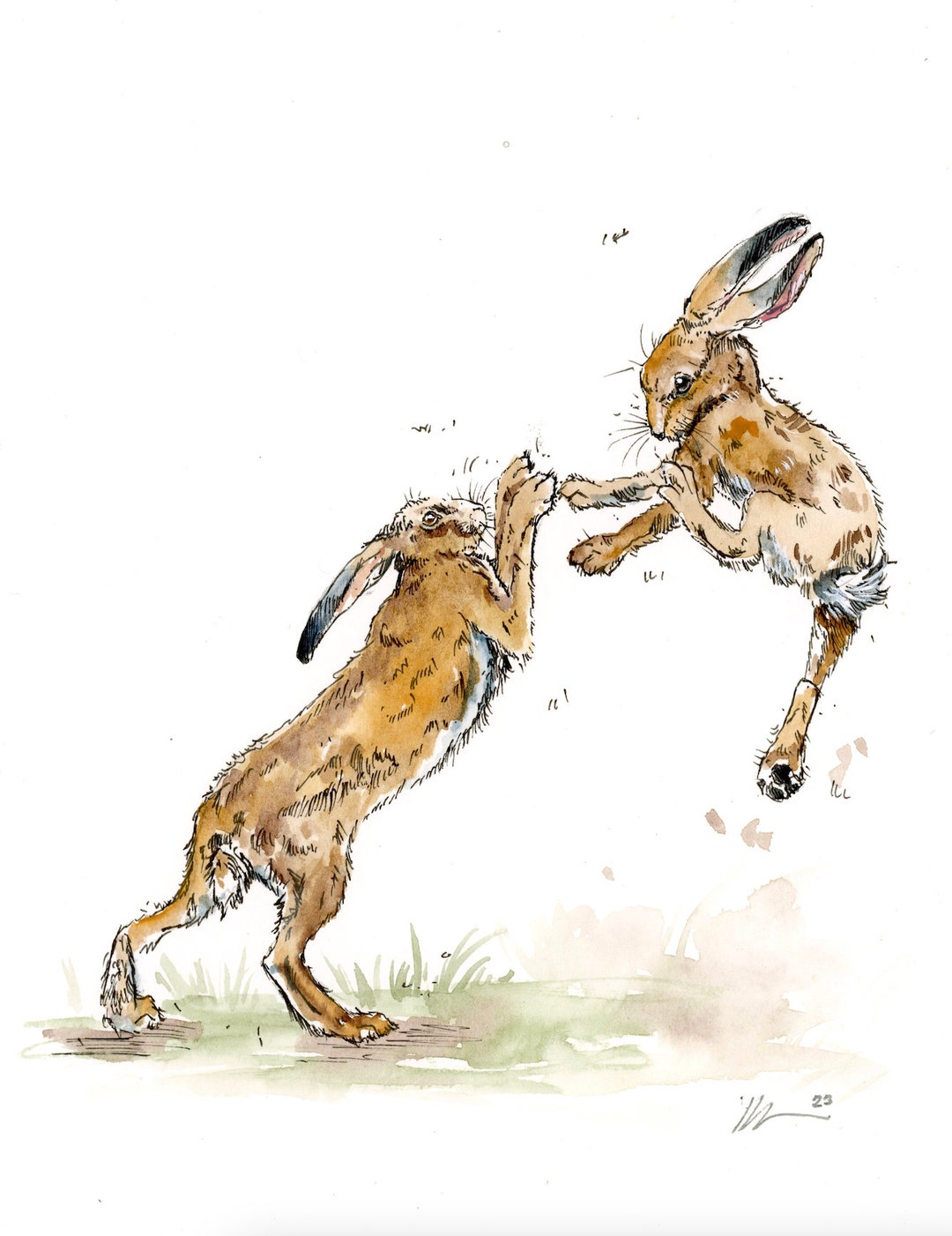 Original Boxing V2 Hare Rabbit Watercolor Art Painting - Etsy