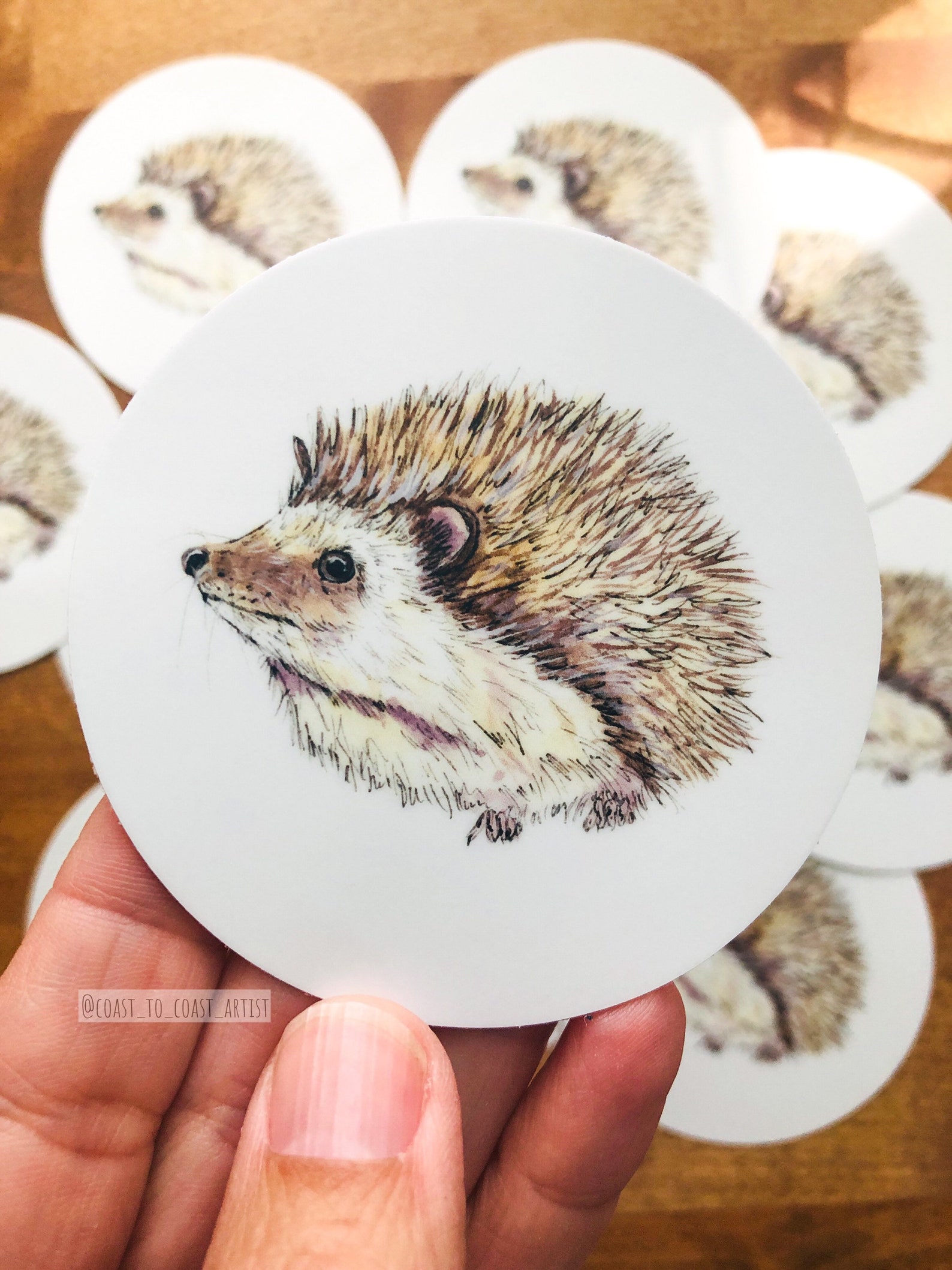 Sticker : Hedgehog Stickers Round 3 Planner Craft Vinyl - Etsy