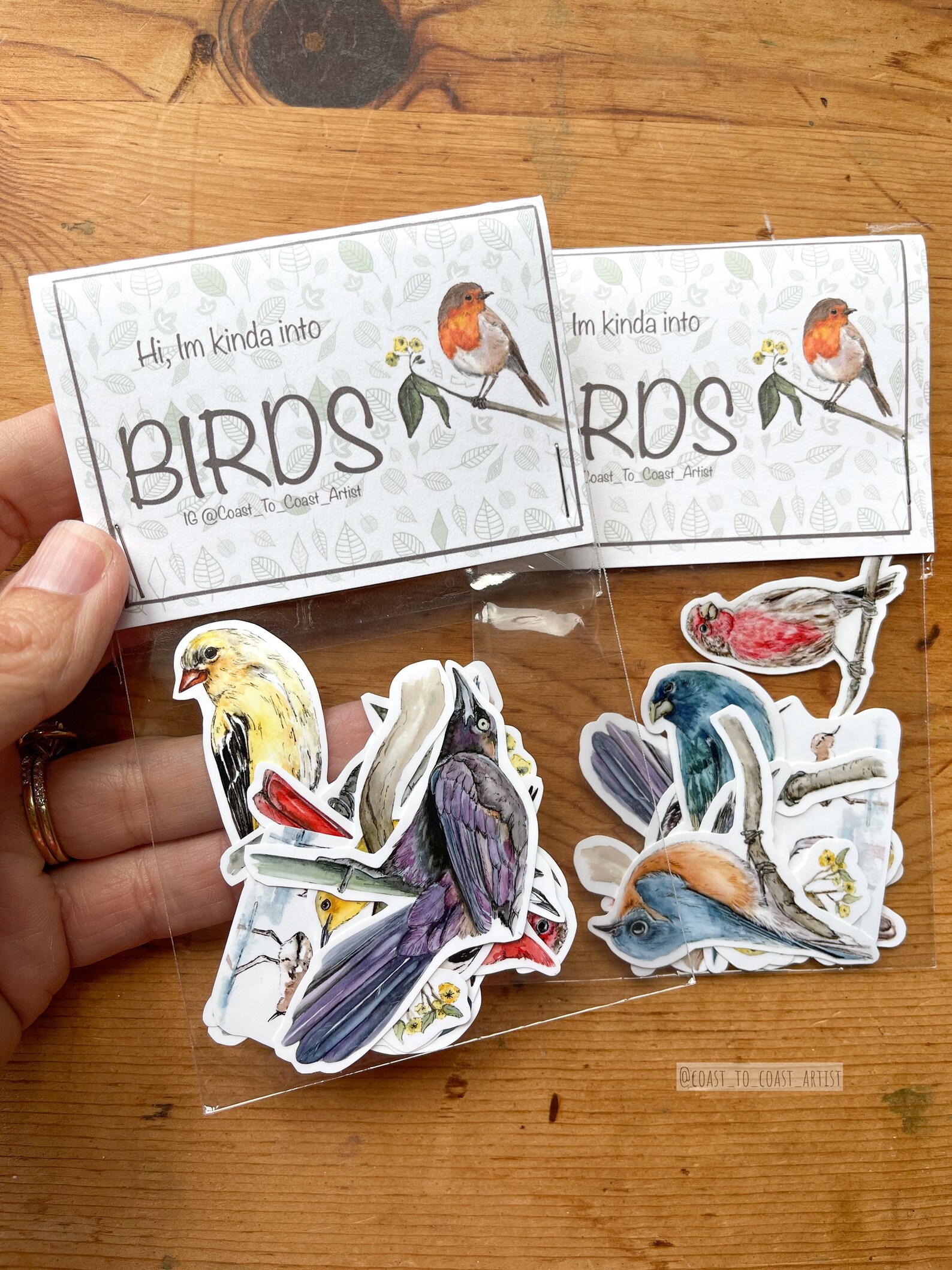 Sticker Pack : 9 Bird Stickers Bird Art Scrapbook Bird | Etsy