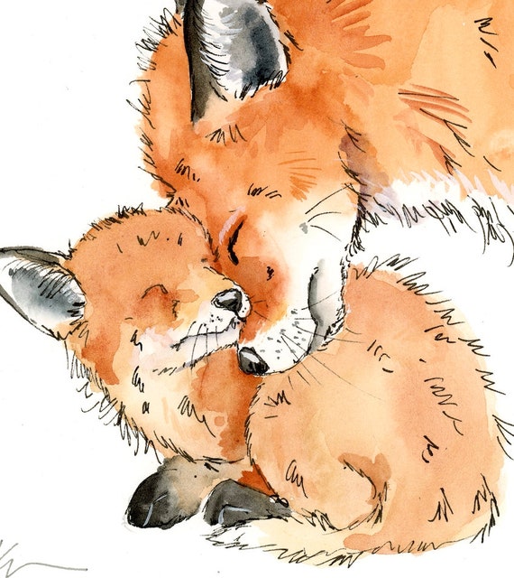 Pet Red Fox Kits
