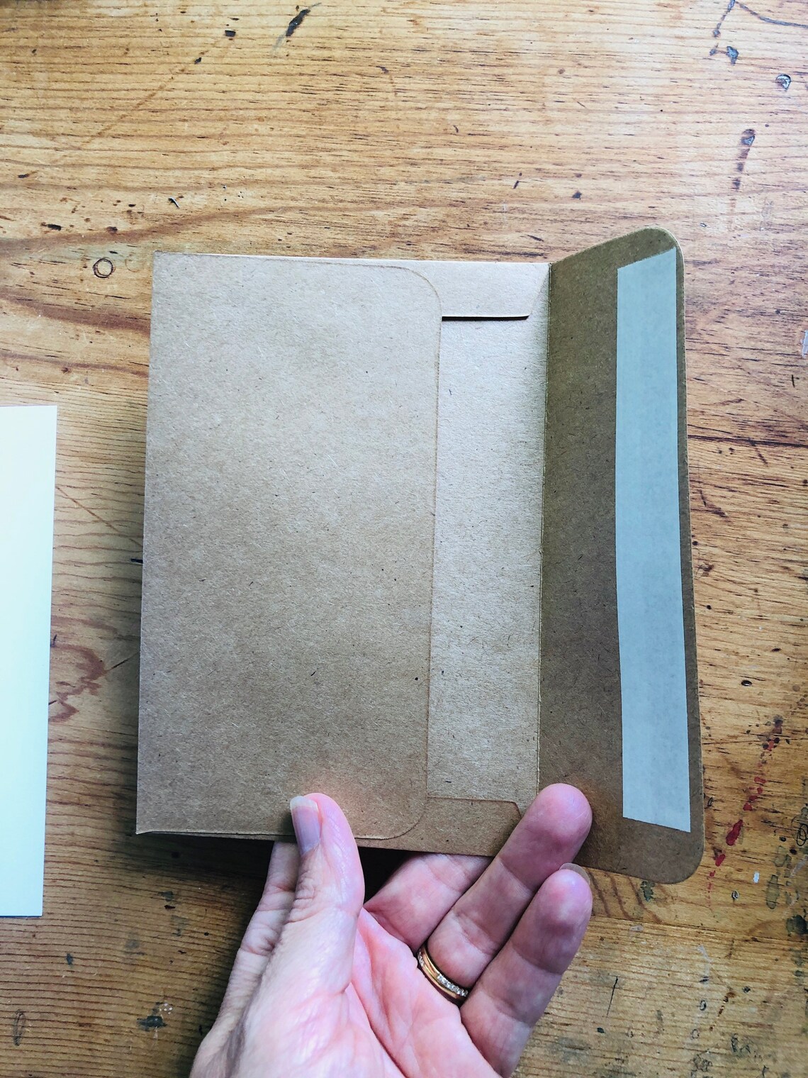 Birthday Party Opossum Possum Blank Greeting Card Note Card | Etsy