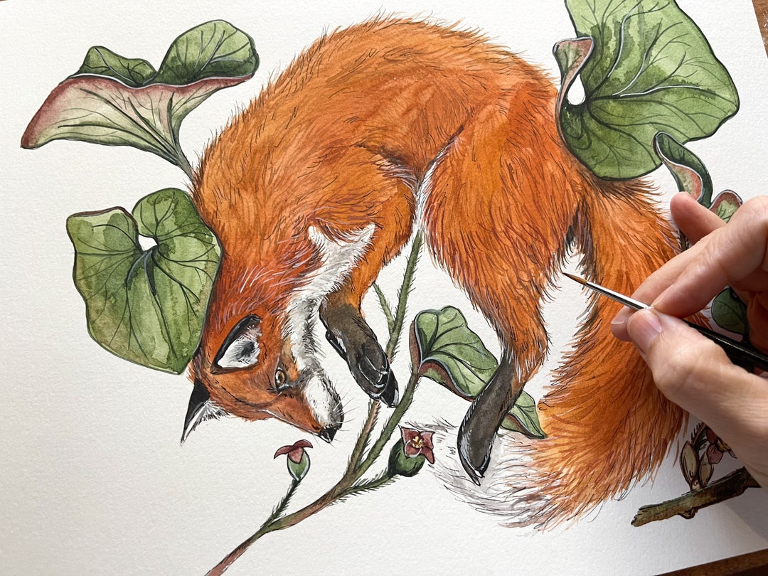 Original Fox With Wild Ginger Blossom Flower 11x14 - Etsy