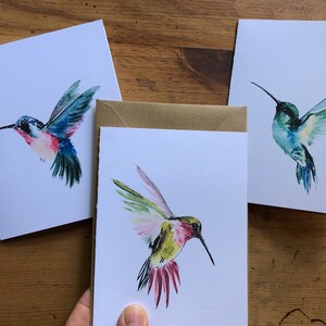 Pack of 6 Note Cards, Bird Art, Prints, Blank Cards, Bird Pictures ...