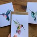 Pack of 6 Note Cards, Bird Art, Prints, Blank Cards, Bird Pictures ...