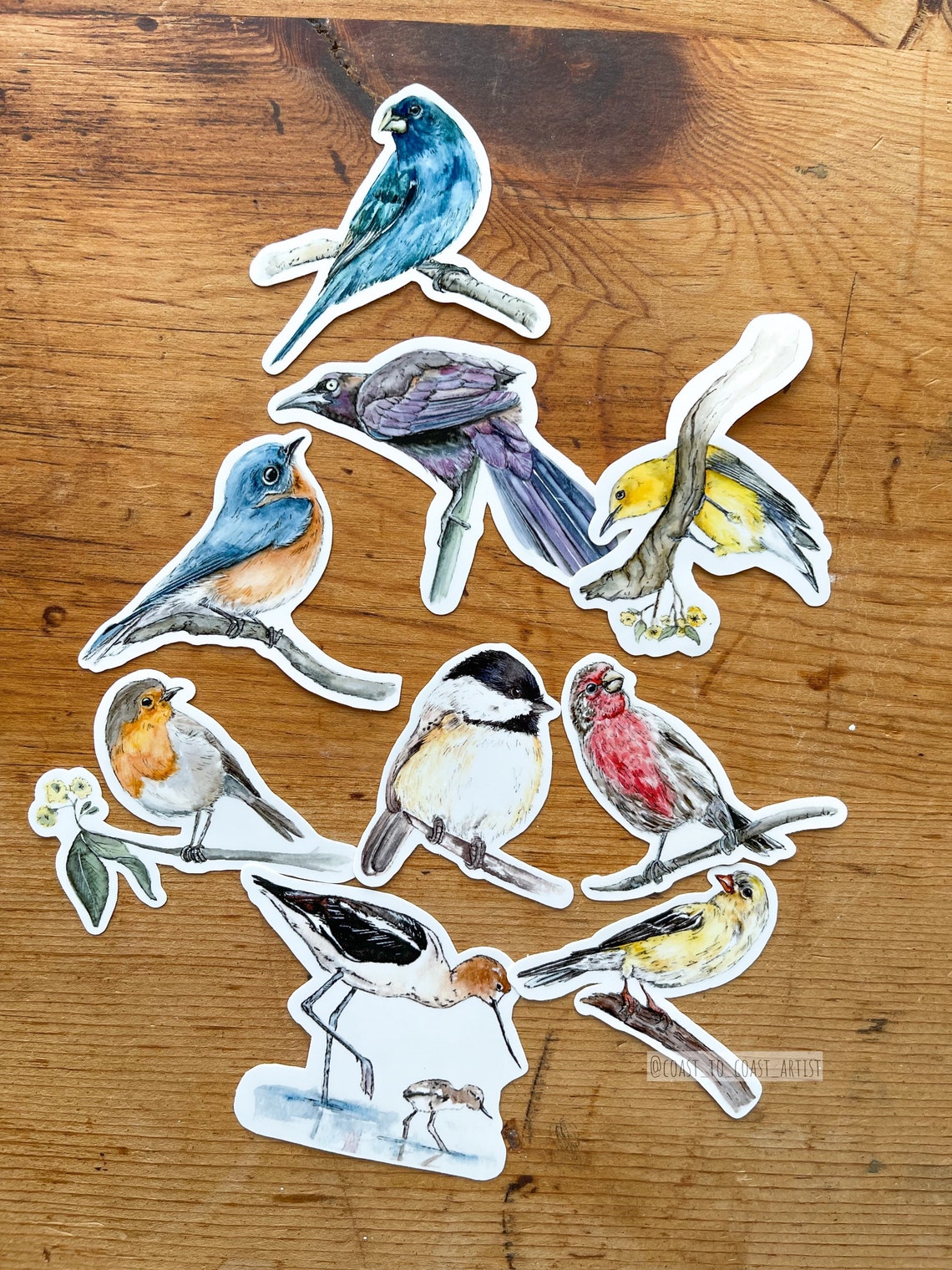 Sticker Pack : 9 Bird Stickers Bird Art Scrapbook Bird | Etsy