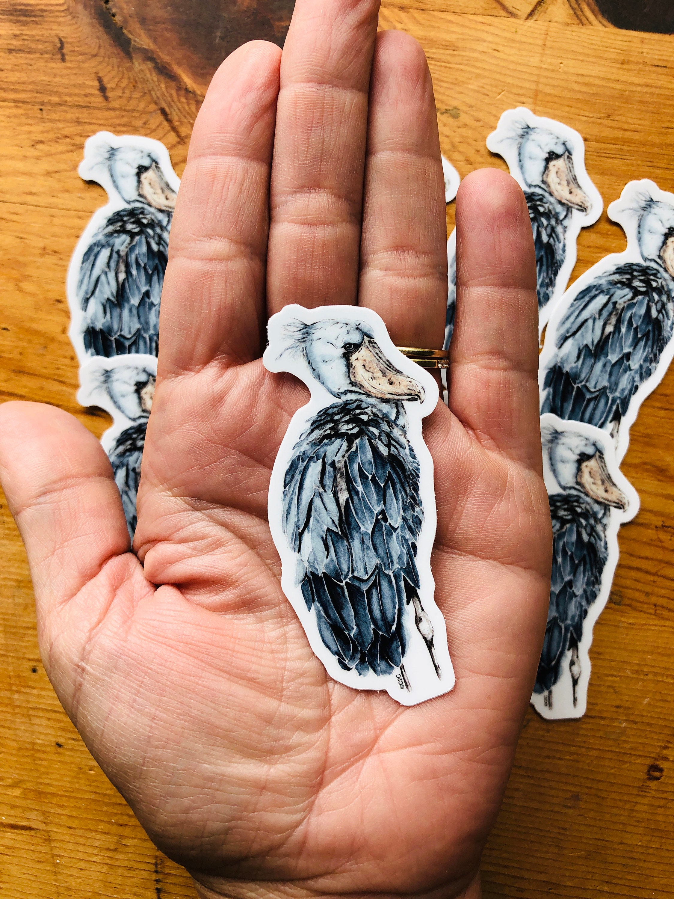 Sticker : Shoebill Stork Dino Bird Sticker Planner Craft | Etsy