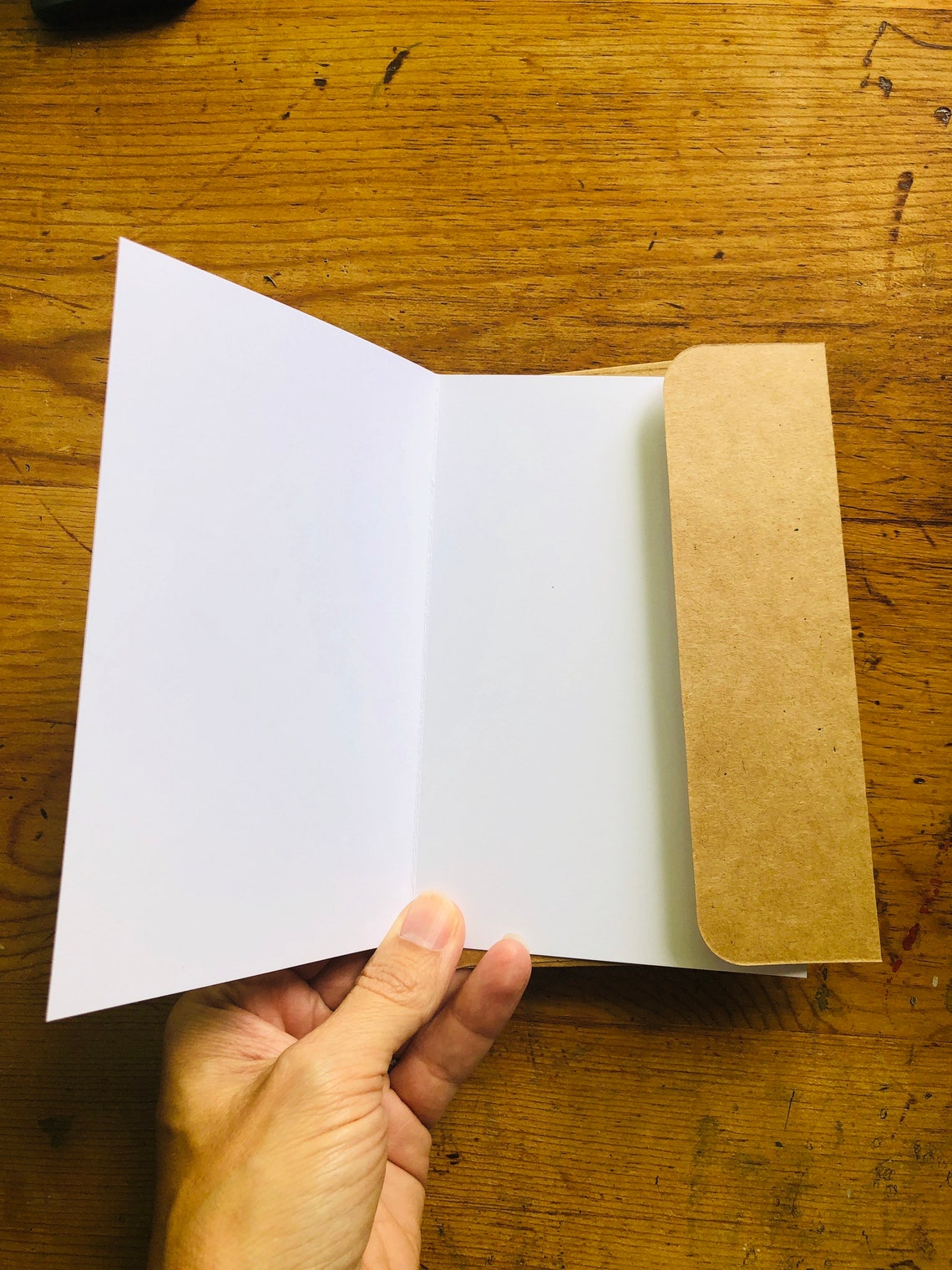 Birthday Party Opossum Possum Blank Greeting Card Note Card | Etsy