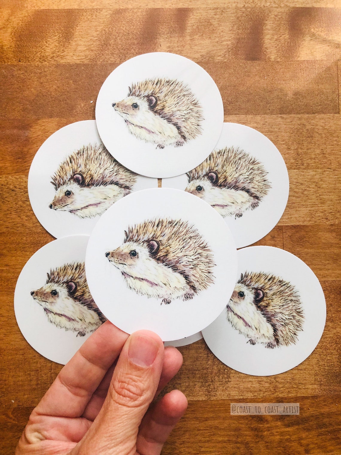 Sticker : Hedgehog Stickers Round 3 Planner Craft Vinyl - Etsy