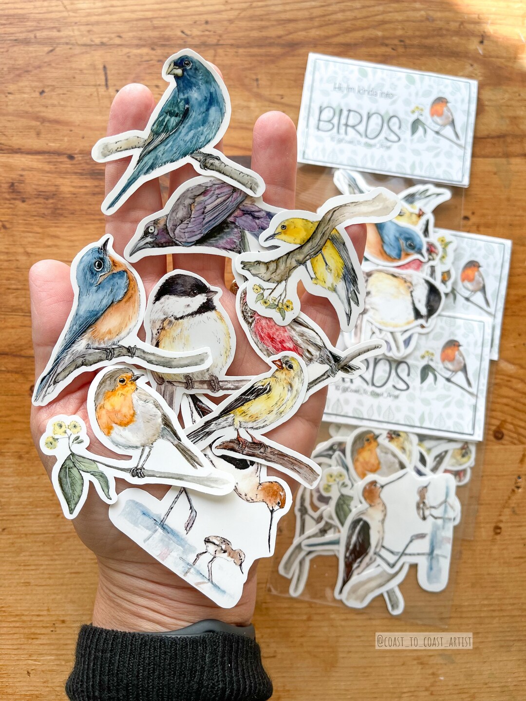 Sticker Pack : 9 Bird Stickers, Bird, Art, Scrapbook, Bird Lover ...