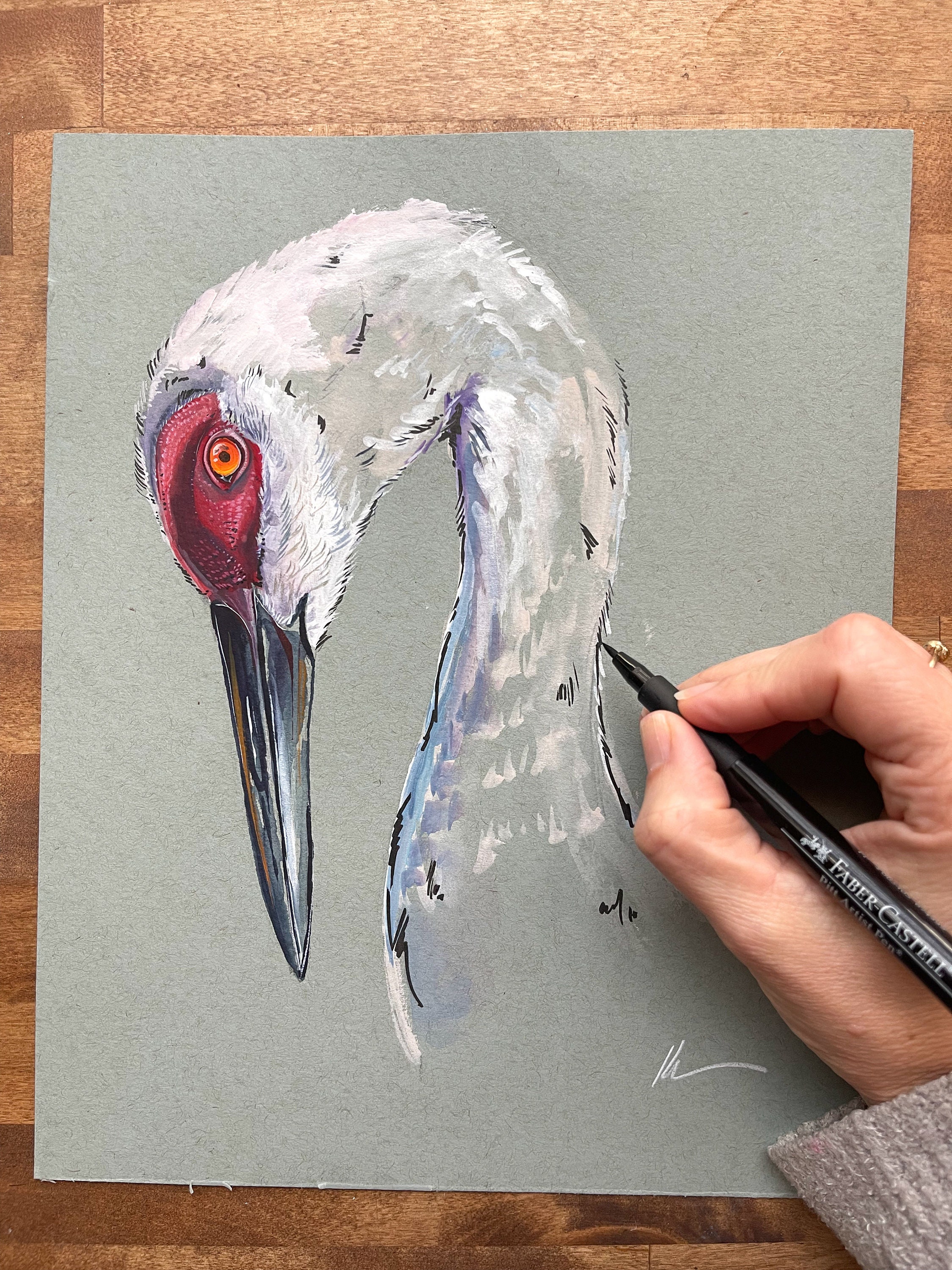 Crane Bird Drawing