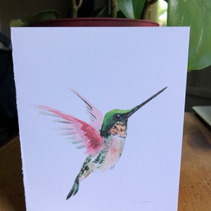 Pack of 6 Note Cards, Bird Art, Prints, Blank Cards, Bird Pictures ...