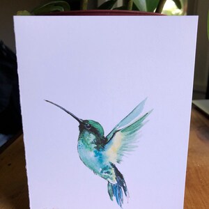 Pack of 6 Note Cards, Bird Art, Prints, Blank Cards, Bird Pictures ...