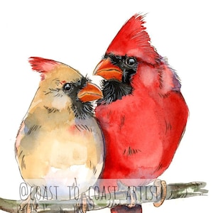 Print: Beautiful Red Cardinal Pair Male and Female Watercolor Painting ...