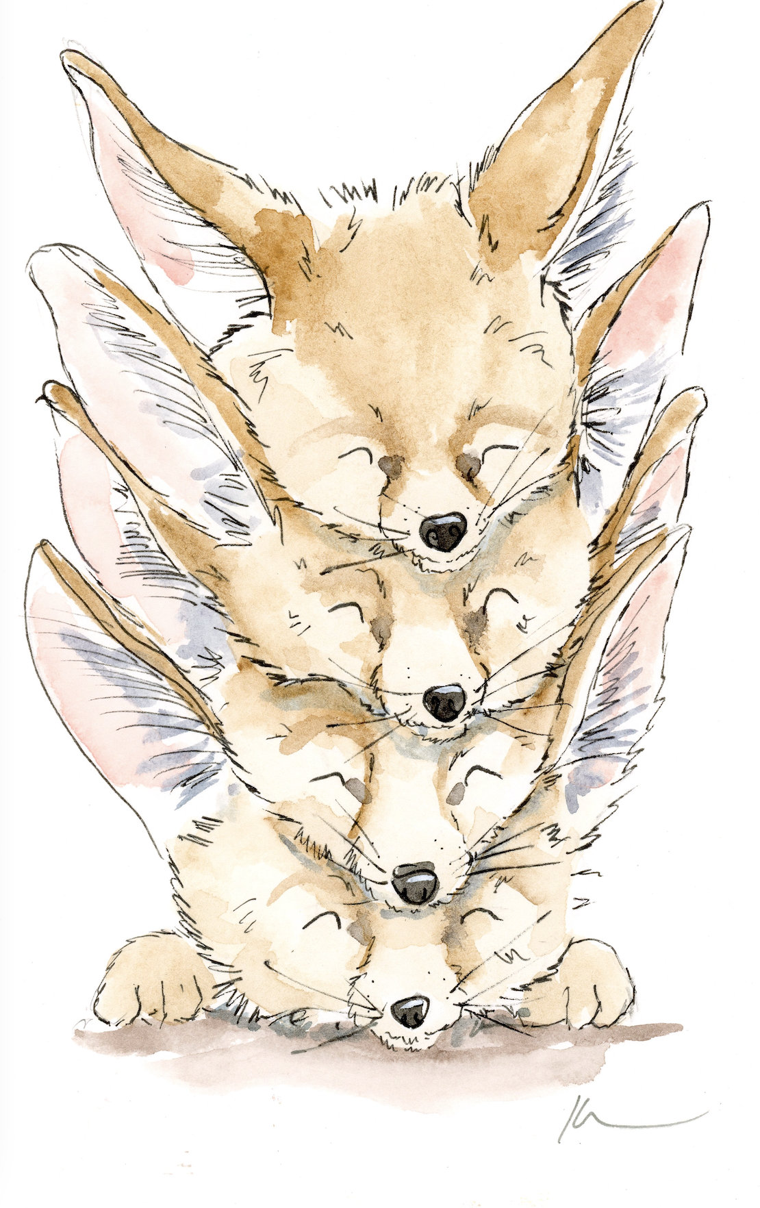 Cute Fennec Fox Drawing