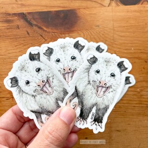 Sticker : Cute Possum Opossum Planner, Craft, Vinyl Art Sticker ...