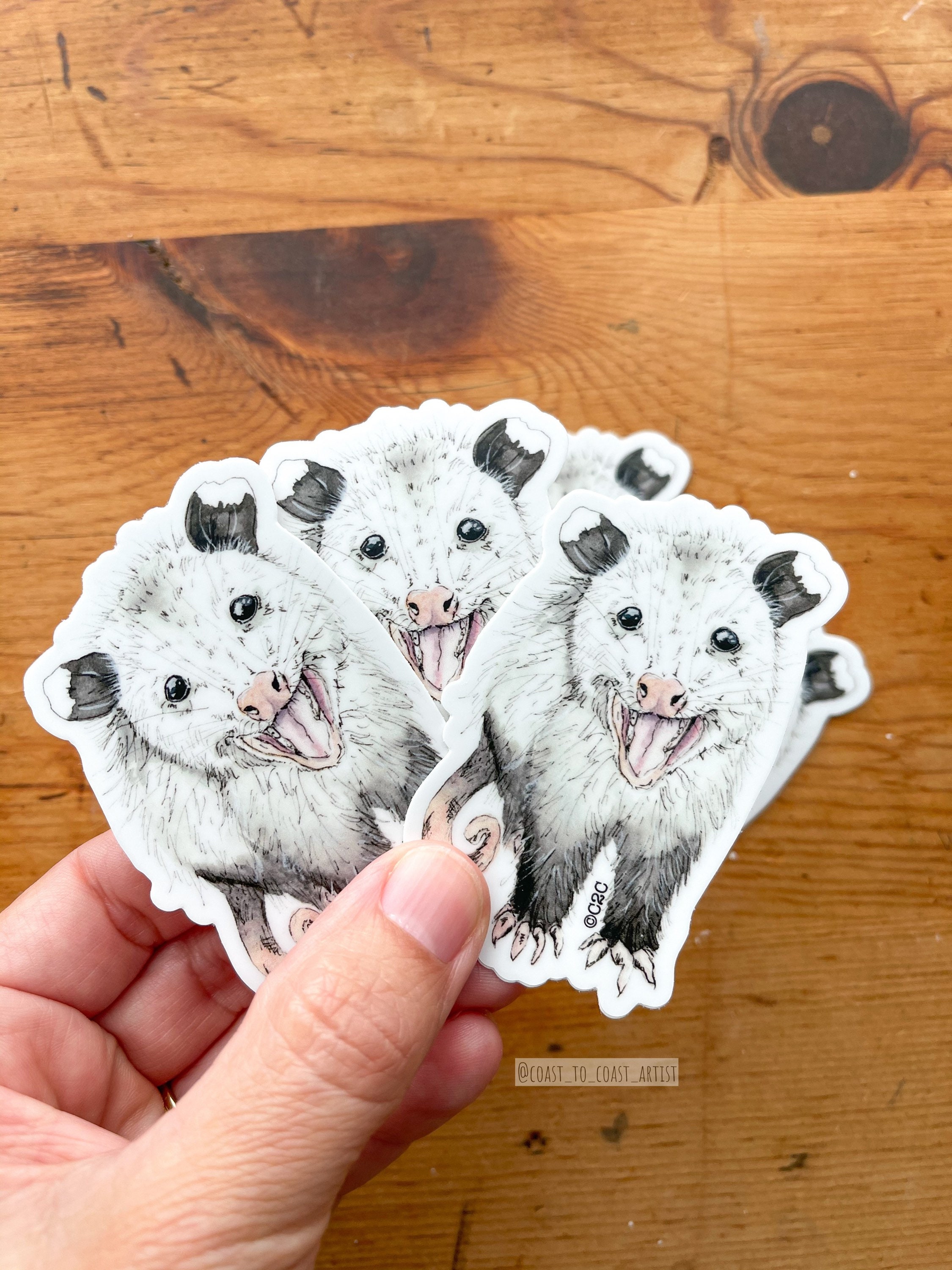 Sticker : Cute Possum Opossum Planner Craft Vinyl Art | Etsy