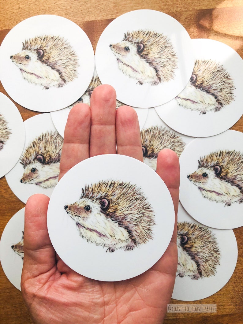 Sticker : Hedgehog Stickers Round 3 Planner Craft Vinyl - Etsy
