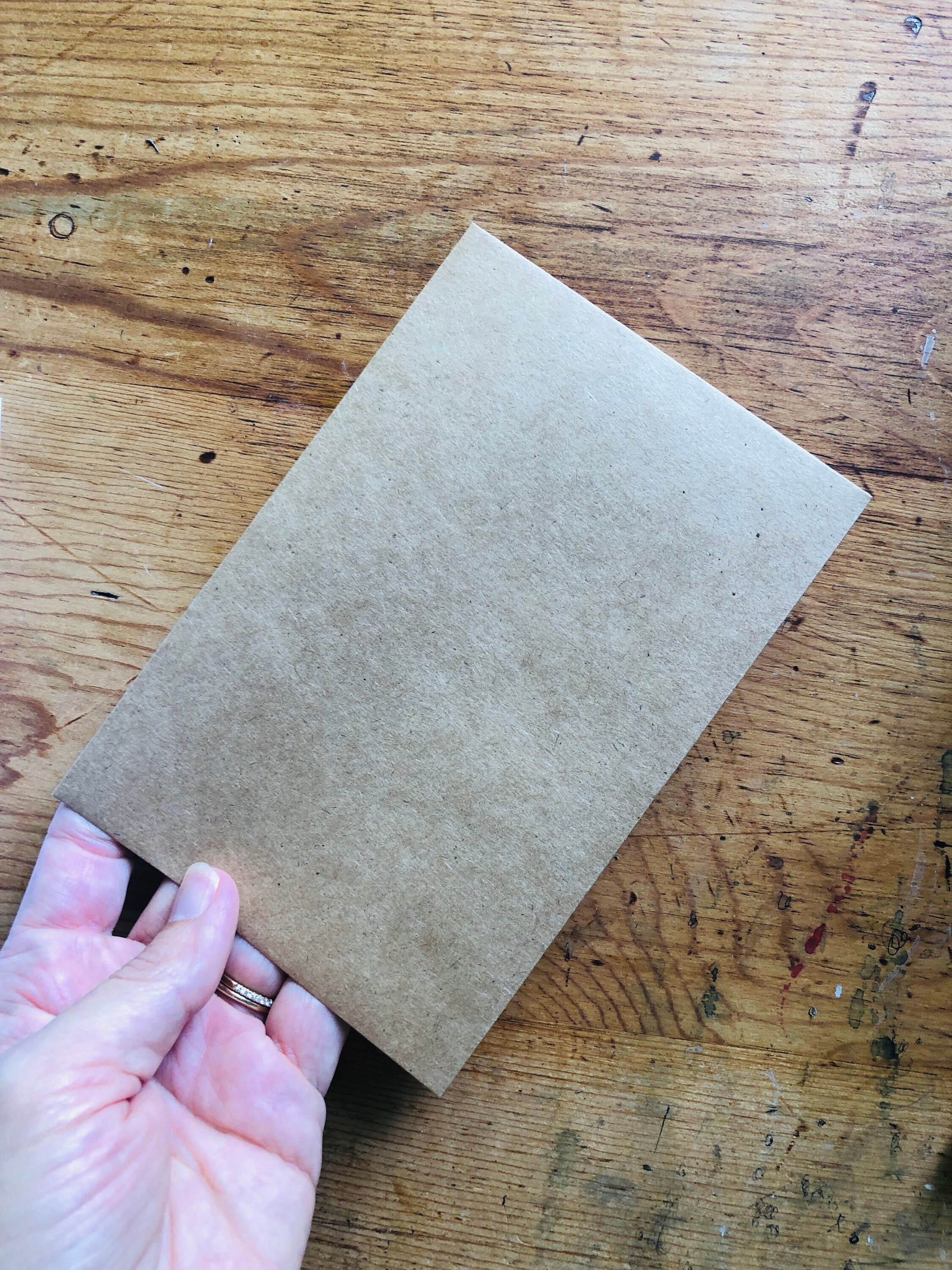 Birthday Party Opossum Possum Blank Greeting Card Note Card | Etsy