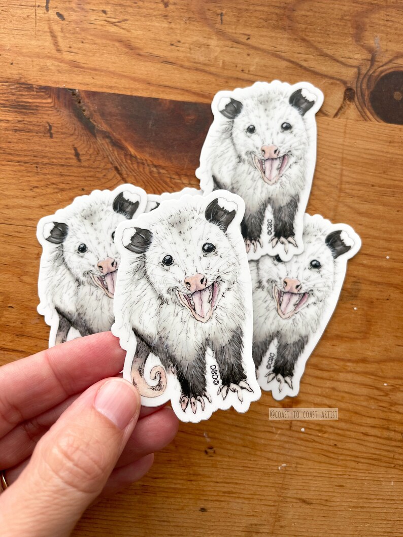 Sticker : Cute Possum Opossum Planner Craft Vinyl Art | Etsy