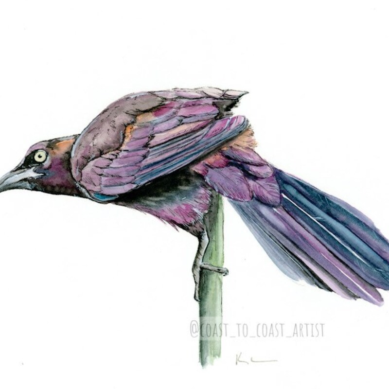 Grackle Painting - Etsy