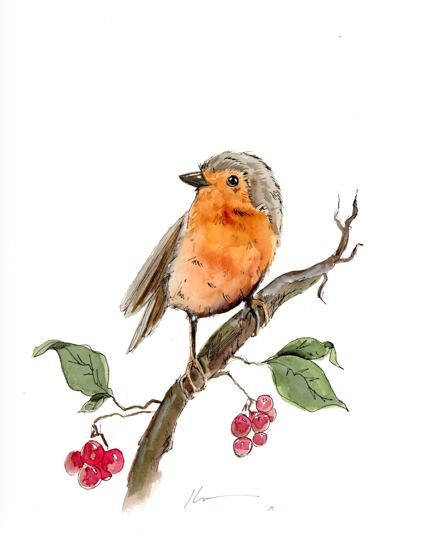 Cute Robin Drawing
