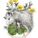 Greeting Card : LOVE Celebrate Graduation Party Opossum Possum - Etsy