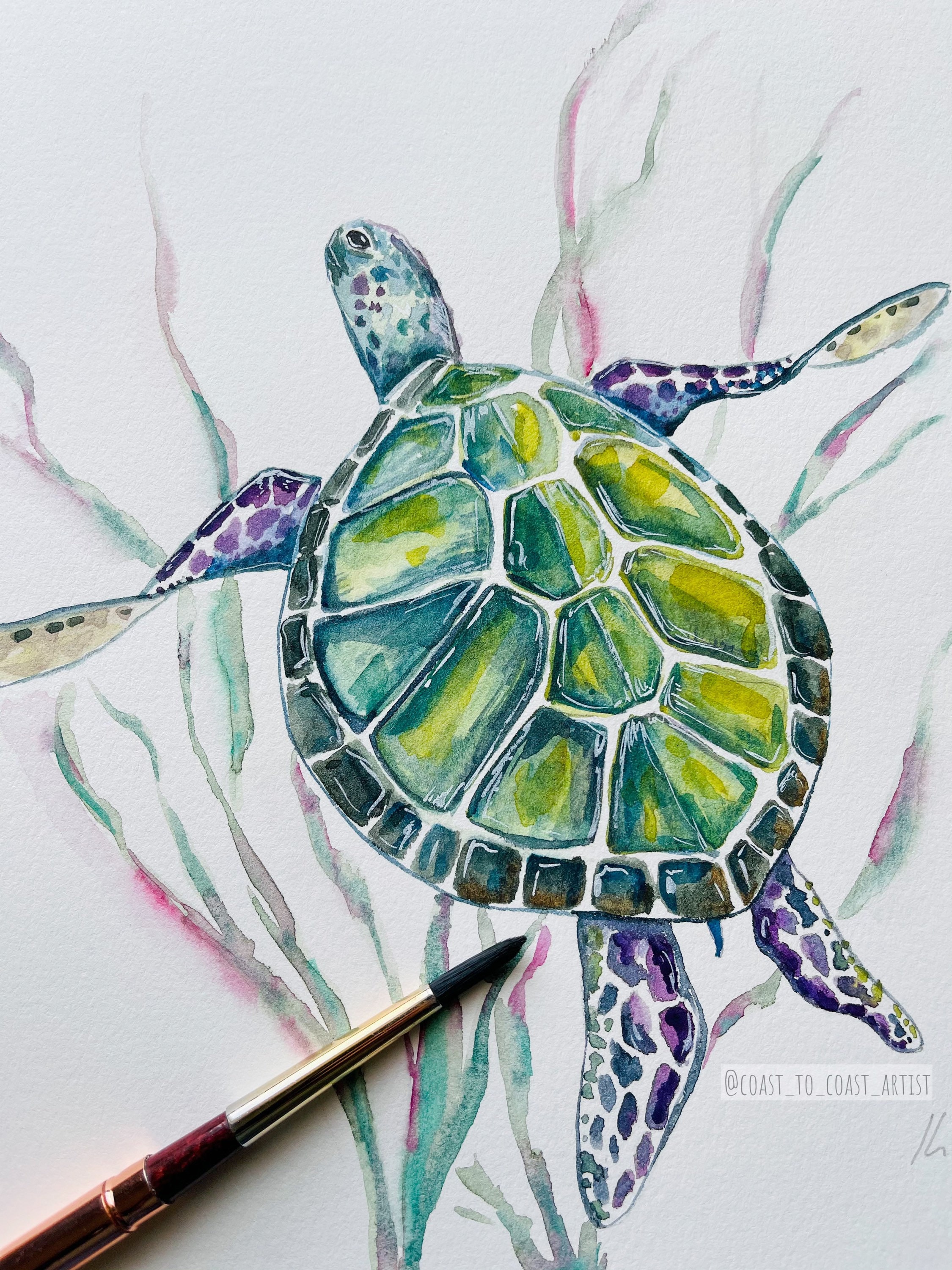 Sea Turtle Watercolor Paintings