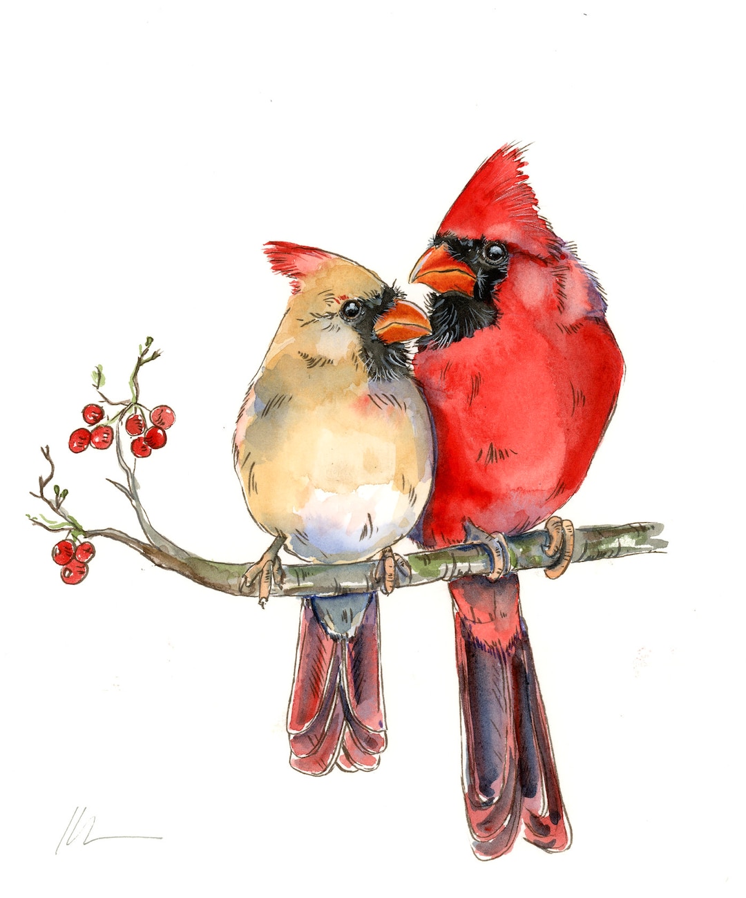 Print: Beautiful Red Cardinal Pair Male and Female Watercolor Painting ...