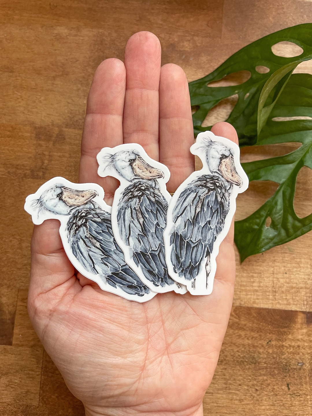 Sticker : Shoebill Stork Dino Bird Sticker Planner, Craft, Vinyl ...