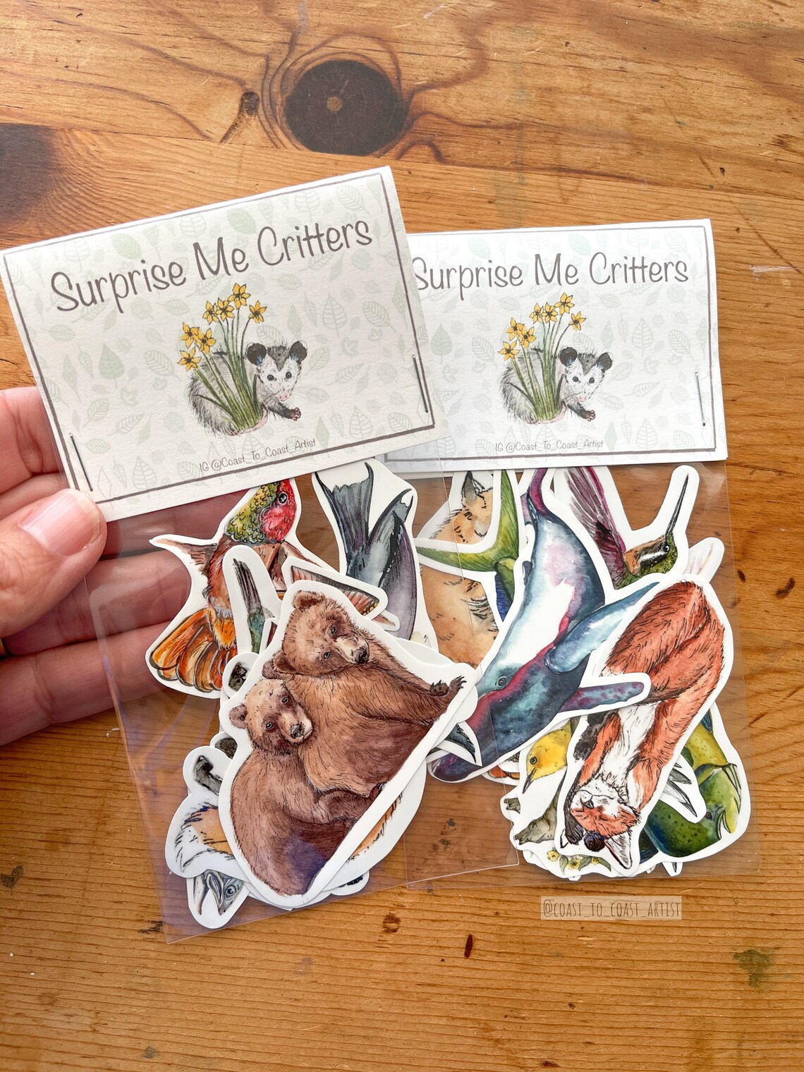 Sticker Pack : 9 Bird Stickers Bird Art Scrapbook Bird | Etsy