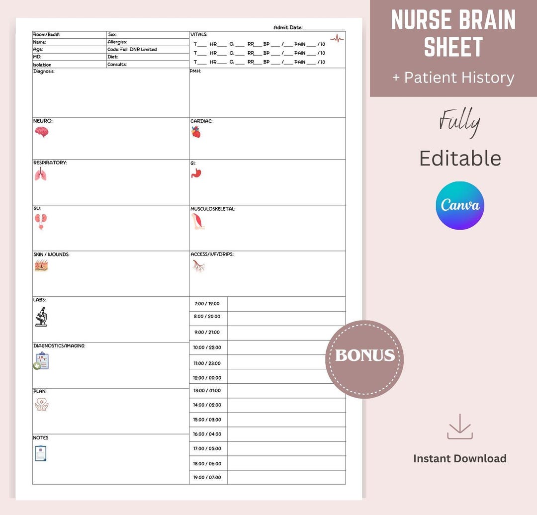 Nurse Brain Sheet, Editable Patient Nursing Report Sheet Hourly ...