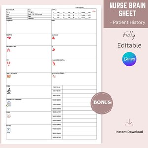 Nurse Brain Sheet, Editable Patient Nursing Report Sheet Hourly ...