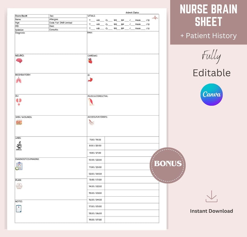 Nurse Brain Sheet, Editable Patient Nursing Report Sheet Hourly ...