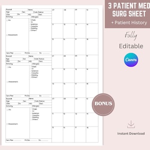 3 Patient Nurse Report Sheet, Nurse Brain Sheet, Med Surg Report Sheet, Multiple Patient Report ...