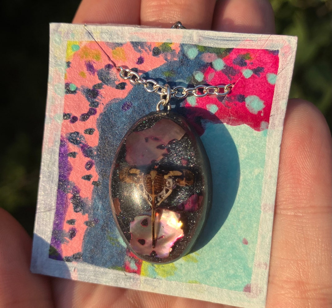 Cicadas Face Pendant, Pink Abalone - Etsy