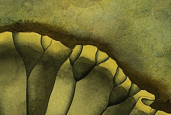 Otis in the Garden Giclée by Kamala Dolphin-kingsley 16x20 - Etsy