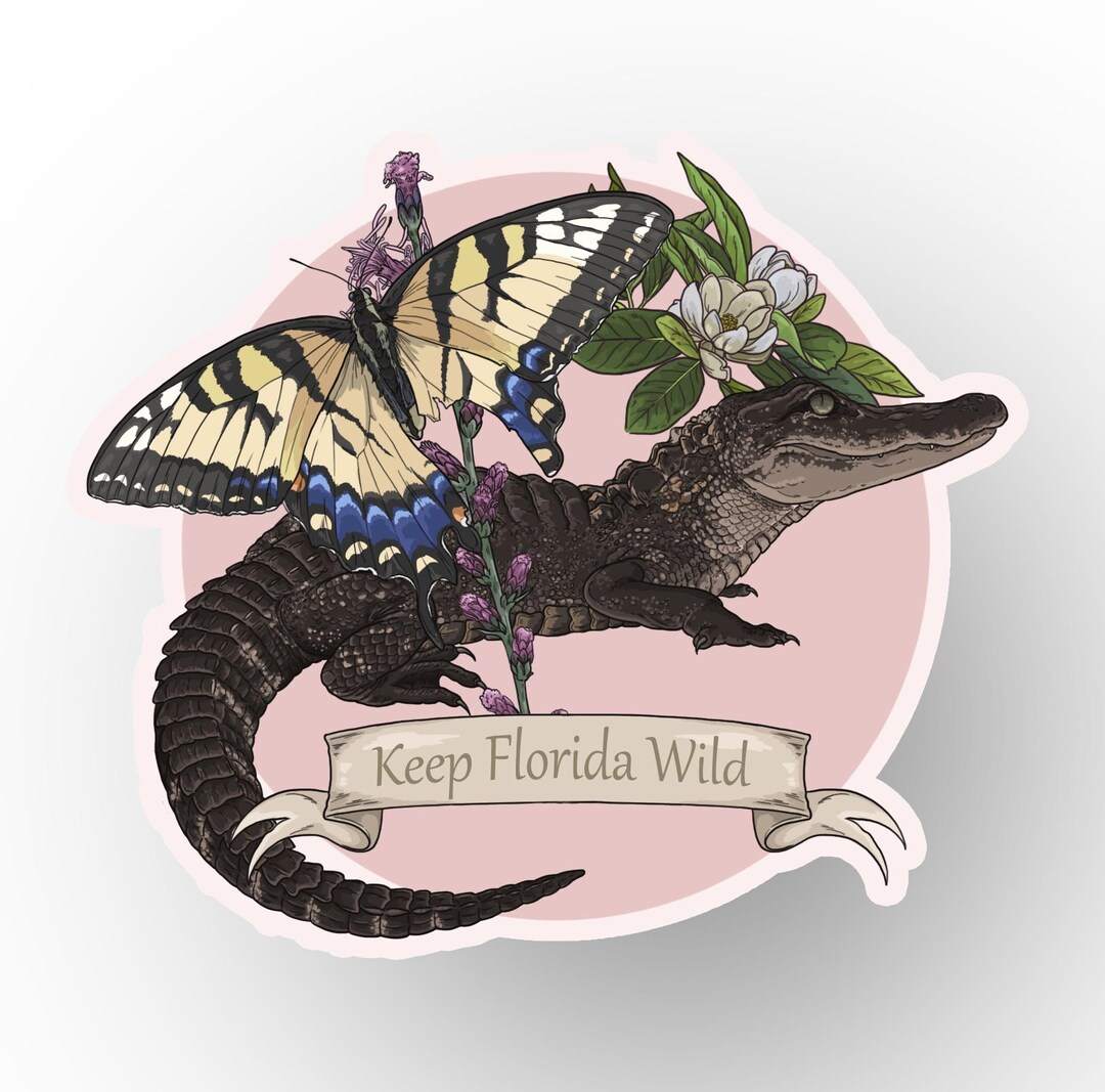 Keep Florida Wild Sticker: Alligator & Butterfly Vinyl Decal - Etsy