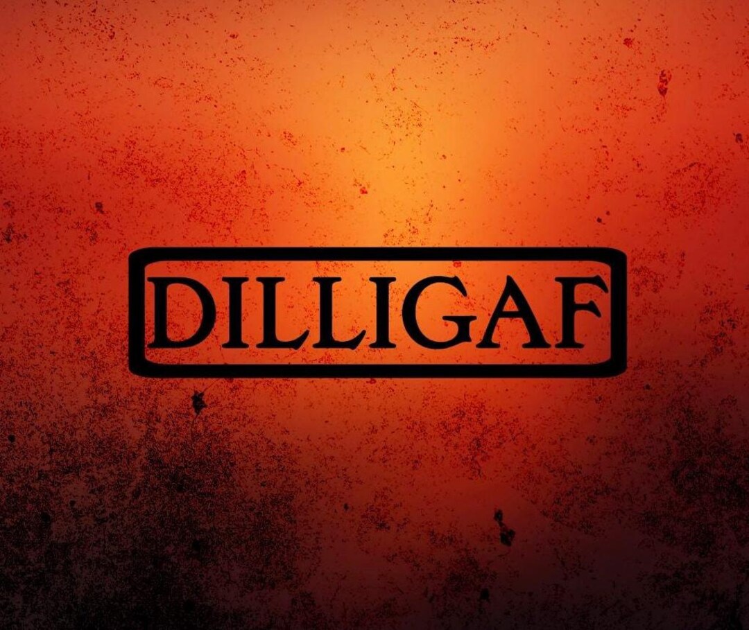DILLIGAF Decal -funny Decal - Bumper Sticker - Vinyl Decal- Window ...