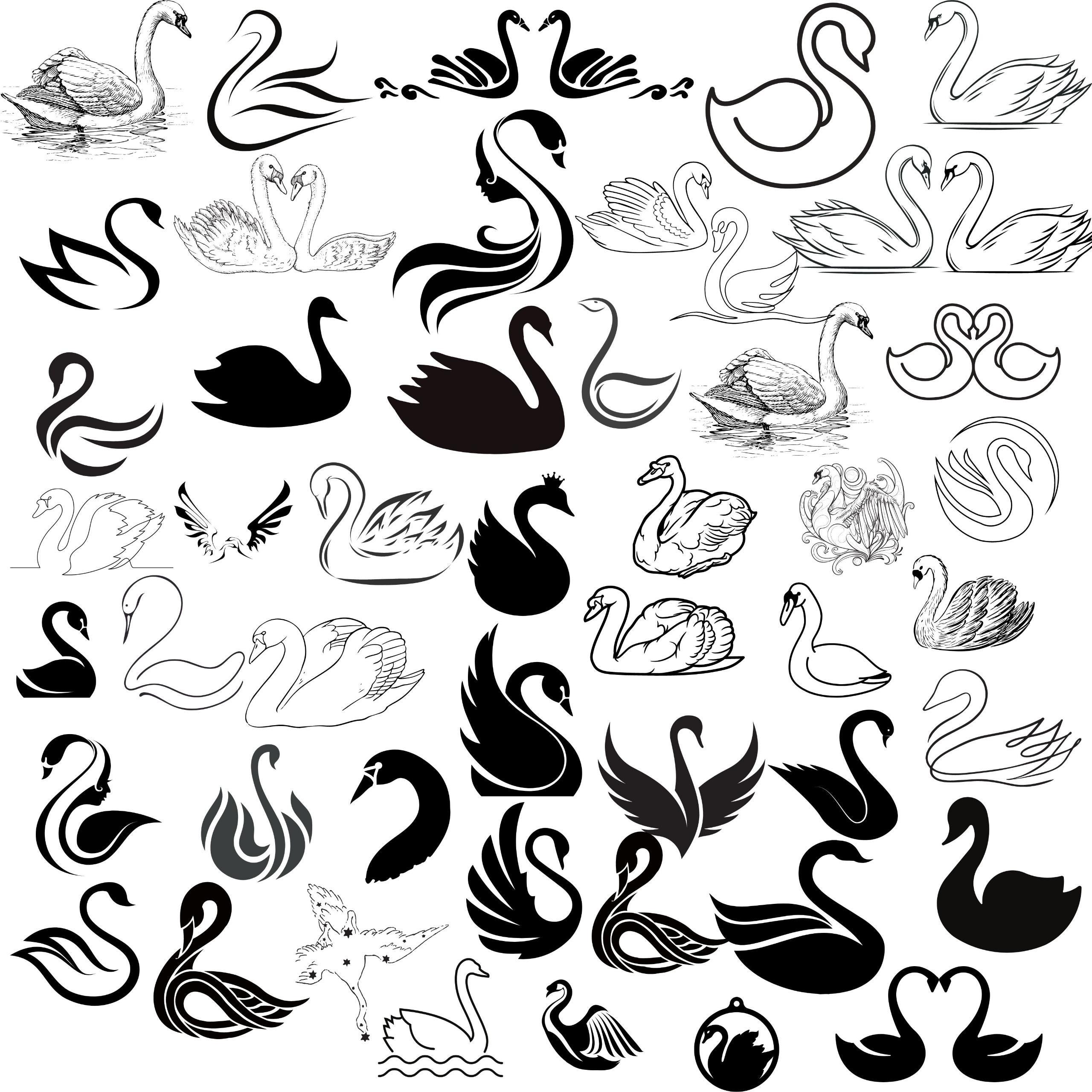 Swan SVG Bundle - Etsy