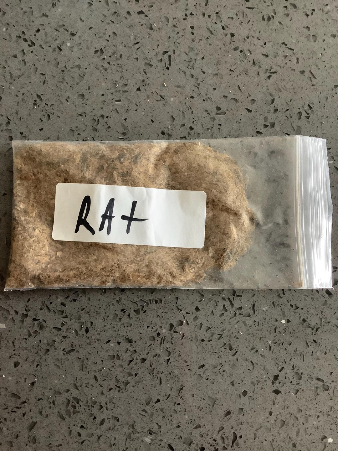 EKU/IFA Crushed Dried Rat - Etsy