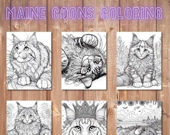 maine coon cat coloring pages
