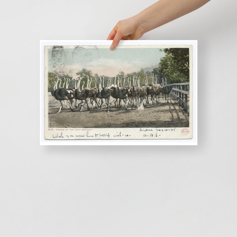 Unusual Art Print - Etsy