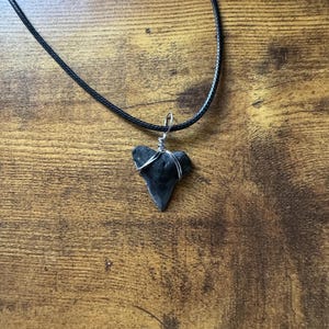 Shark Tooth Necklace Men's, Woman's, Kid's Real Fossil Handmade Custom ...