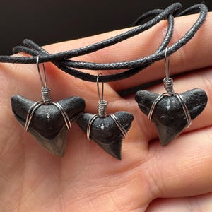 Shark Tooth Necklace| Men's, Woman's, Kid's| Real Fossil | Handmade ...