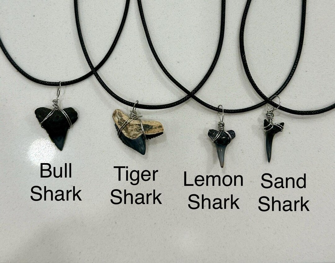 Shark Tooth Necklace Men's, Woman's, Kid's Real Fossil Handmade Custom ...