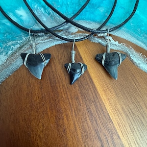 Shark Tooth Necklace| Men's, Woman's, Kid's| Real Fossil | Handmade ...